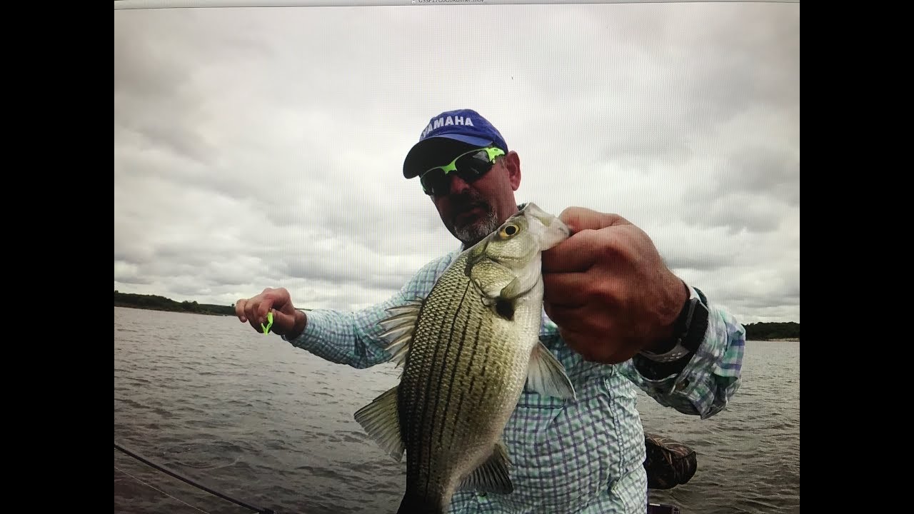 Catching Summer Surface Exploding White Bass - YouTube