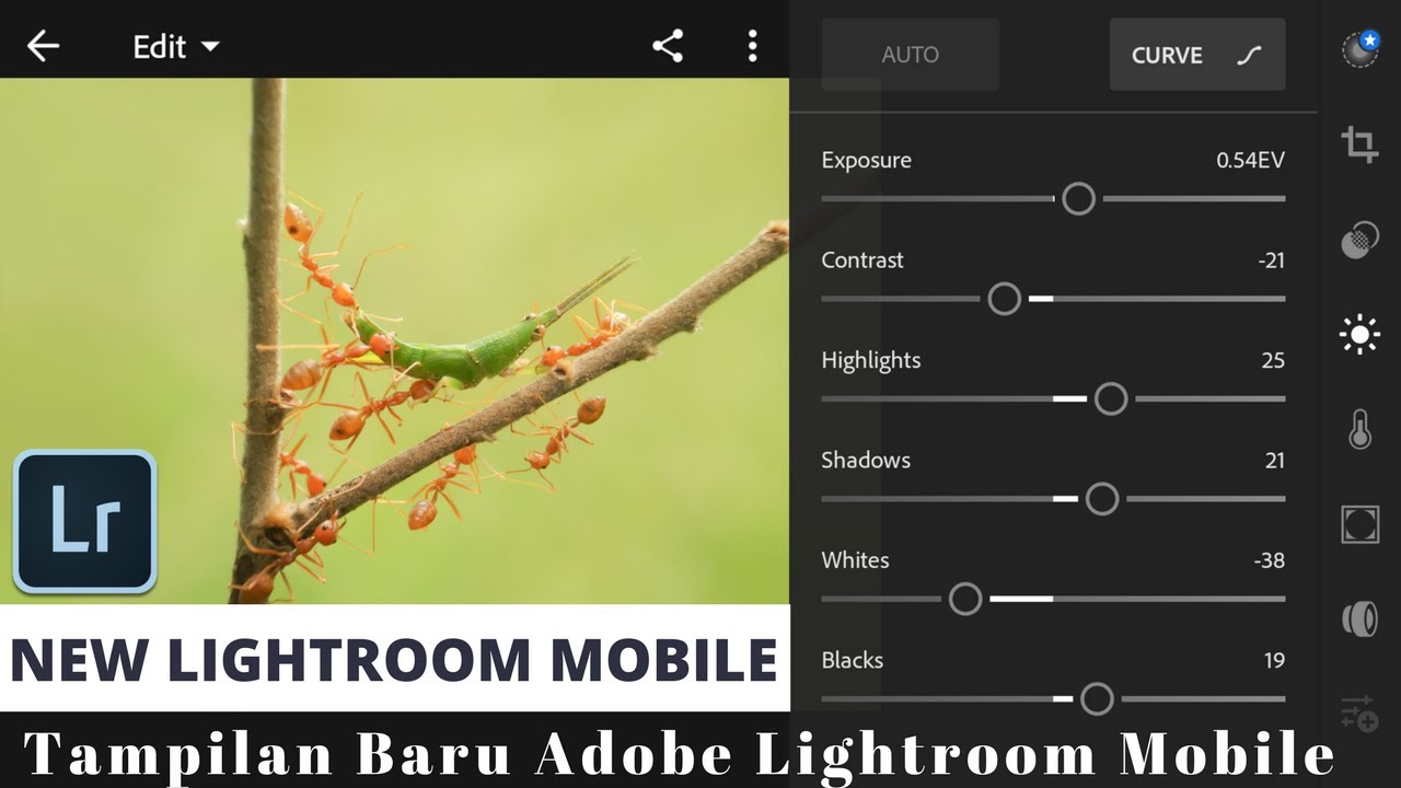 Tampilan Baru Adobe Lightroom Mobile | New Lightroom Mobile 2017 - YouTube