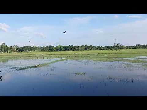 Beautiful village Boalkhali, Chattogram. - YouTube