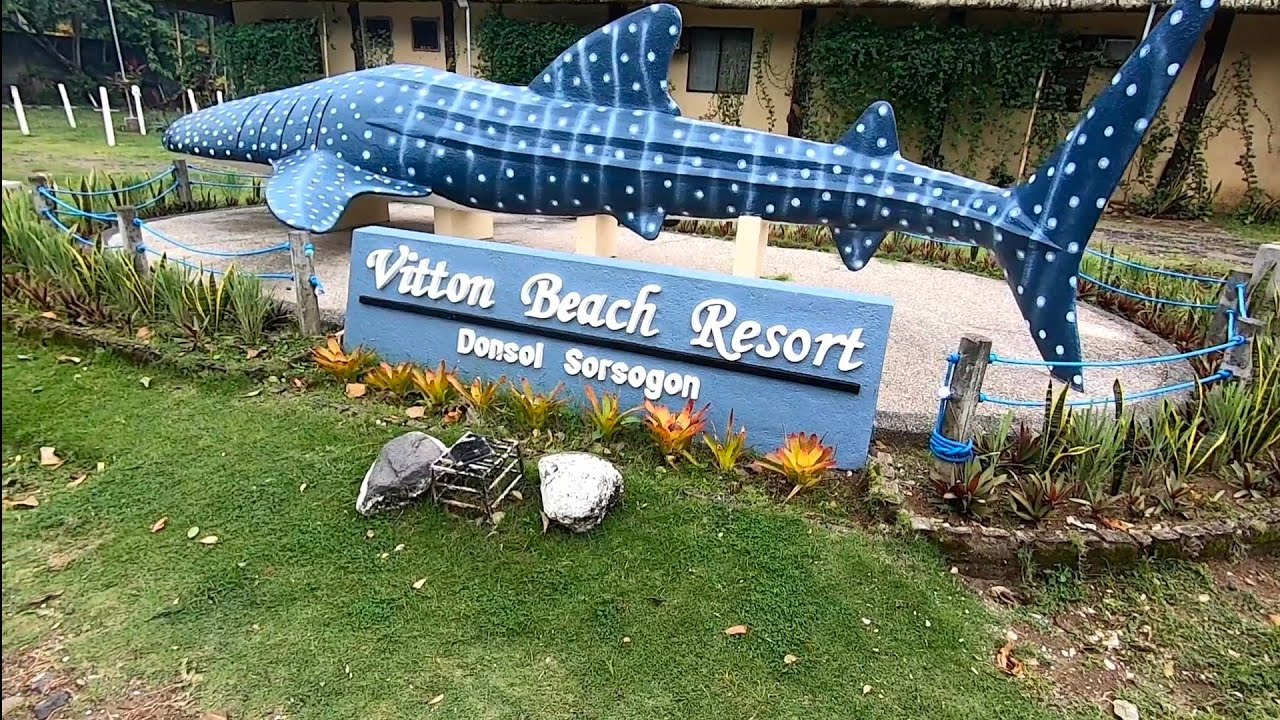 Backpacker's Bed sa Vitton & Woodland Beach Resort | Donsol, Sorsogon ...