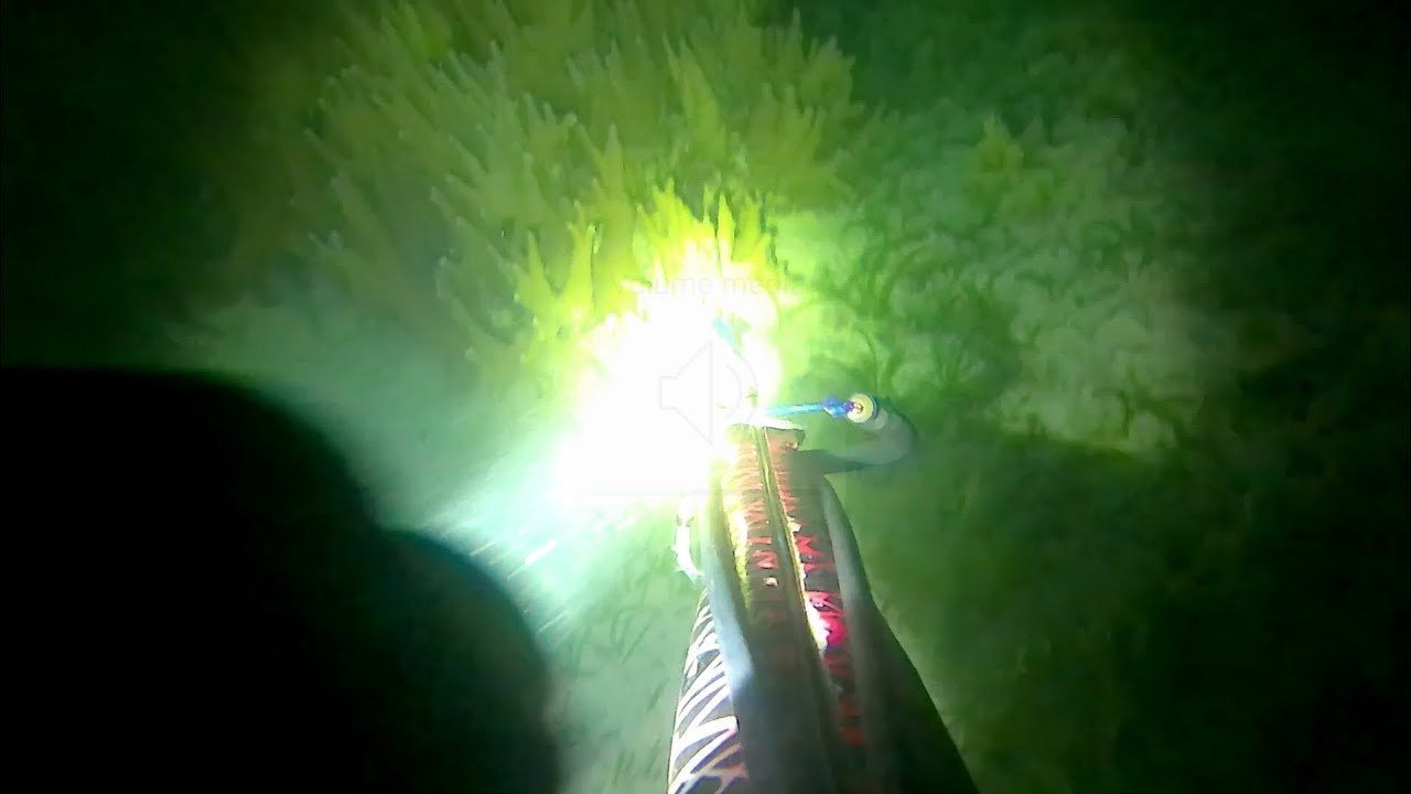 cacth two giant octopus, Night Spearfishing in fron of Usuno Island ...