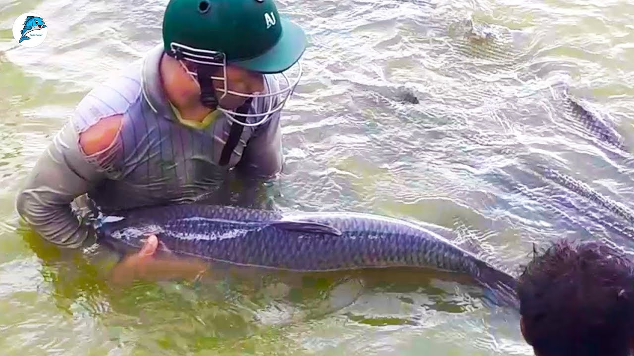 Strong Fish Hit The Fisherman || Fishing In Beautiful Nature || Fish ...