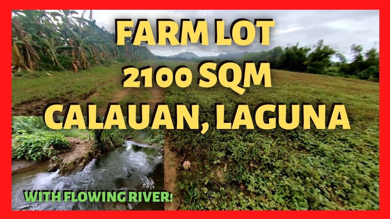 2100 Sqm Farm Lot in Calauan Laguna with Flowing River (Lot Code 2209 ...