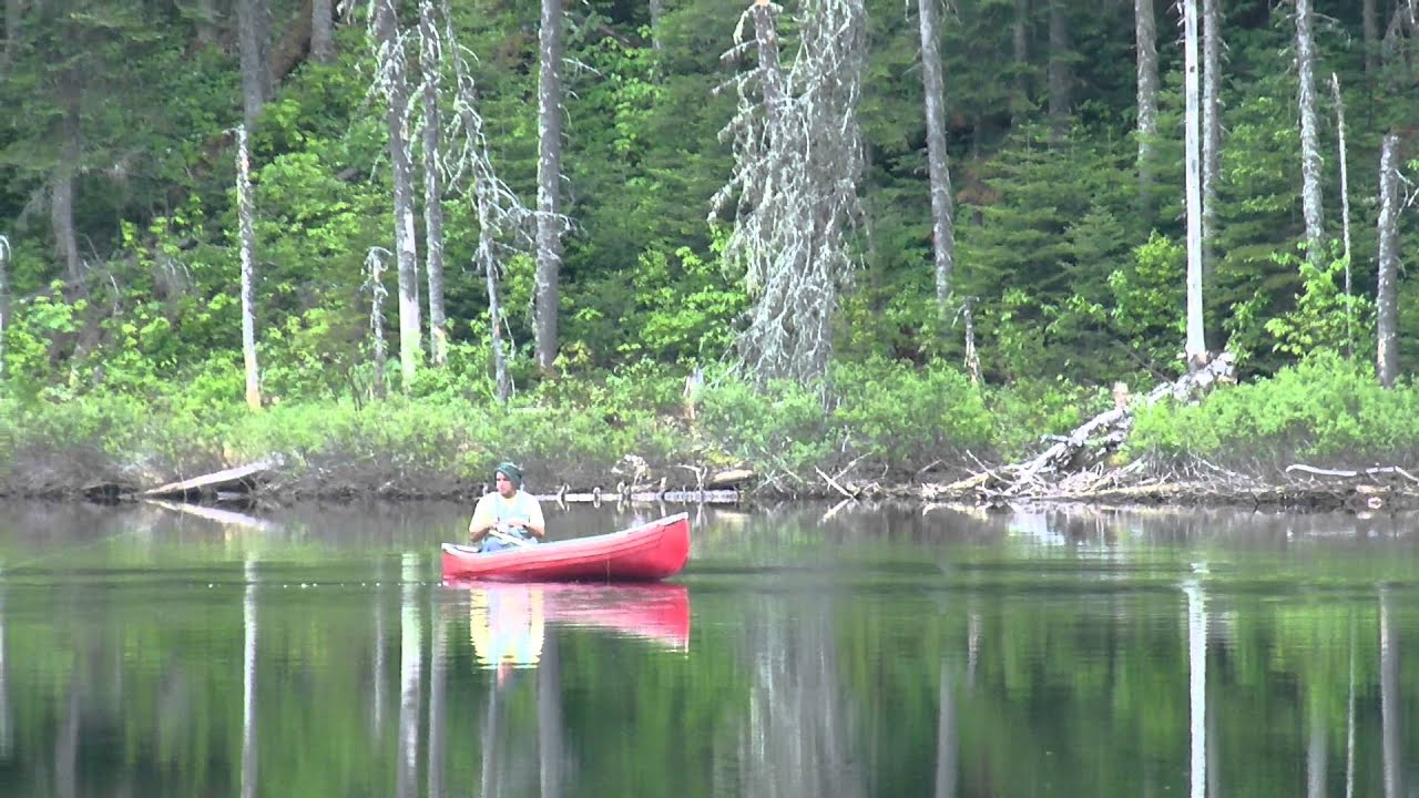 CLUB-MONADIRE.GE-Tevzaoba Kvebekshi(Quebec, Canada) - YouTube