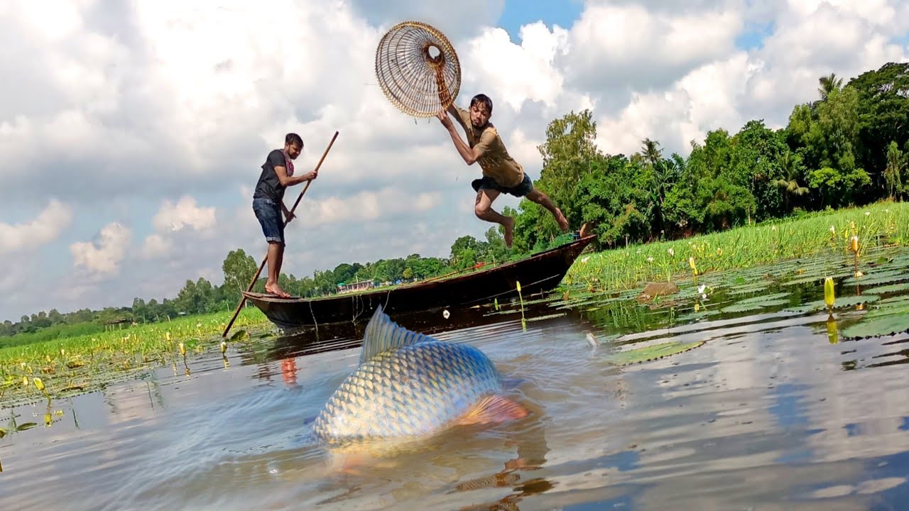 The world best fish hunting video🐠Young boys catching many carp fish ...