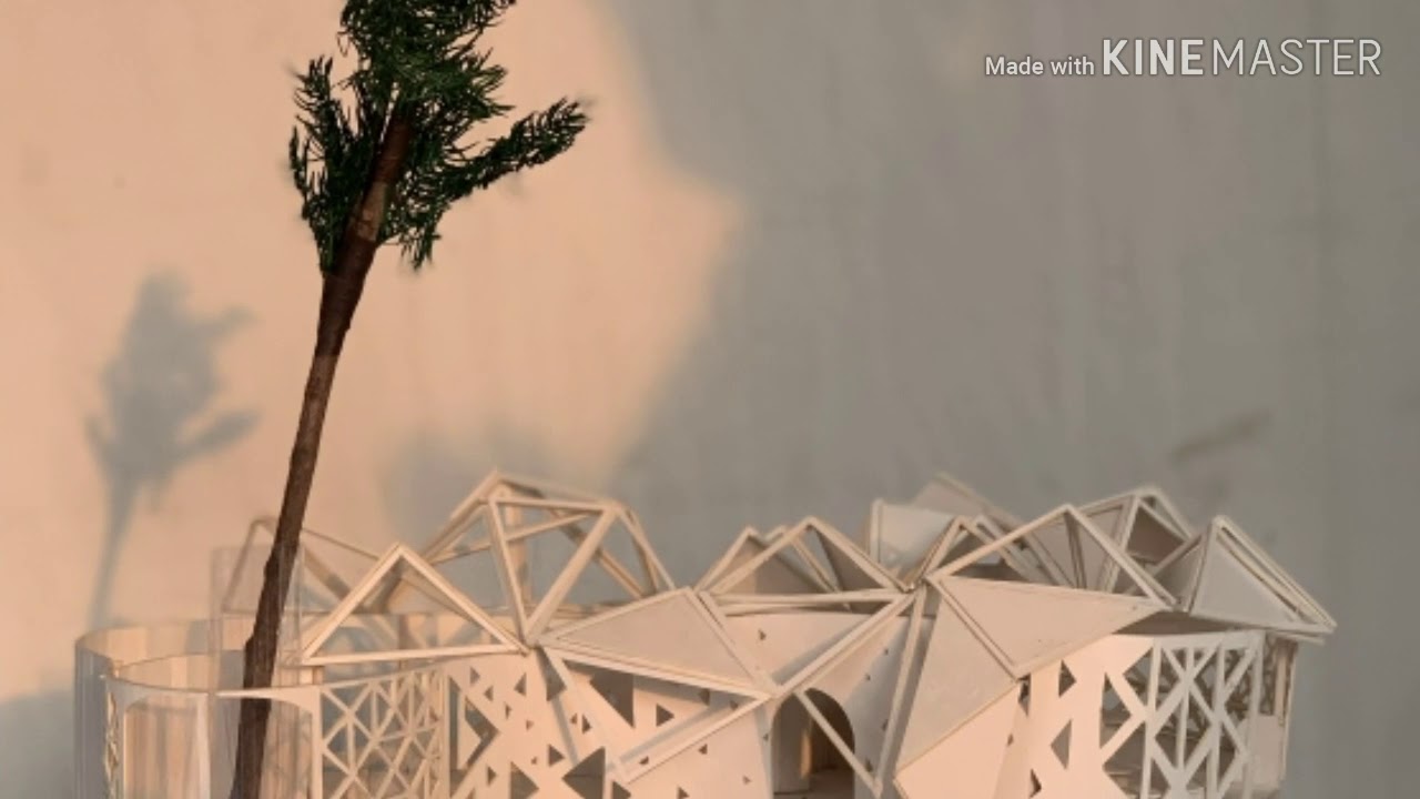 Biomimicry : Cactus - YouTube