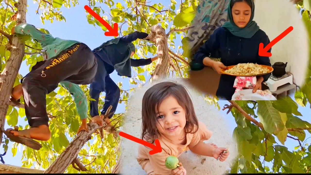 Incredible: (Scary) Elena and walnut picking in the village! - YouTube