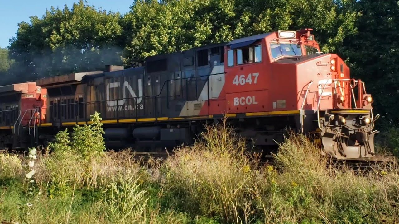 TRAINS CN Freight With Vintage 90s C44-9WL at St Henri - YouTube