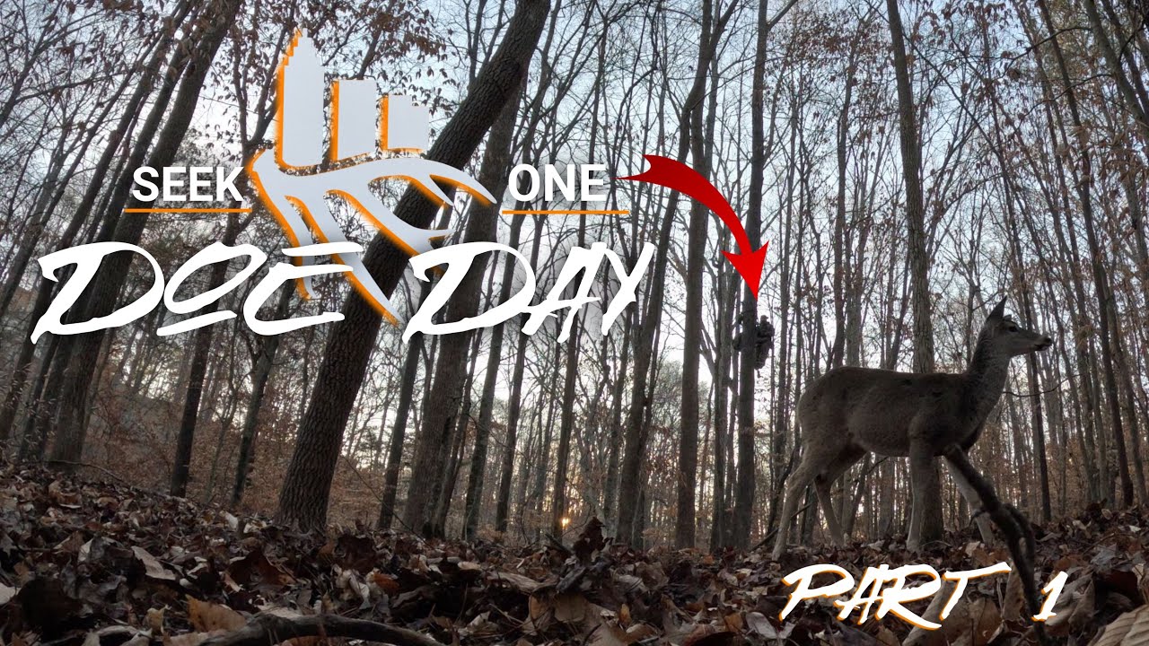 DEER HUNTING FOR SEEK ONE’S DOE DAY DEER MANAGEMENT || 100+ DEER ...