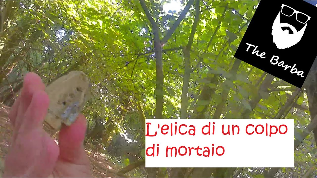 Metal detector: gli inquietanti ritrovamenti del bosco inquietante ...