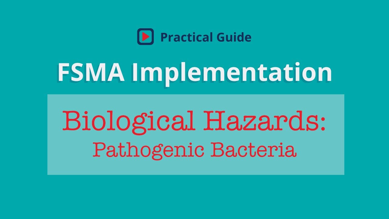 Food Safety Biological Hazards of Concern | Pathogenic Bacteria - YouTube