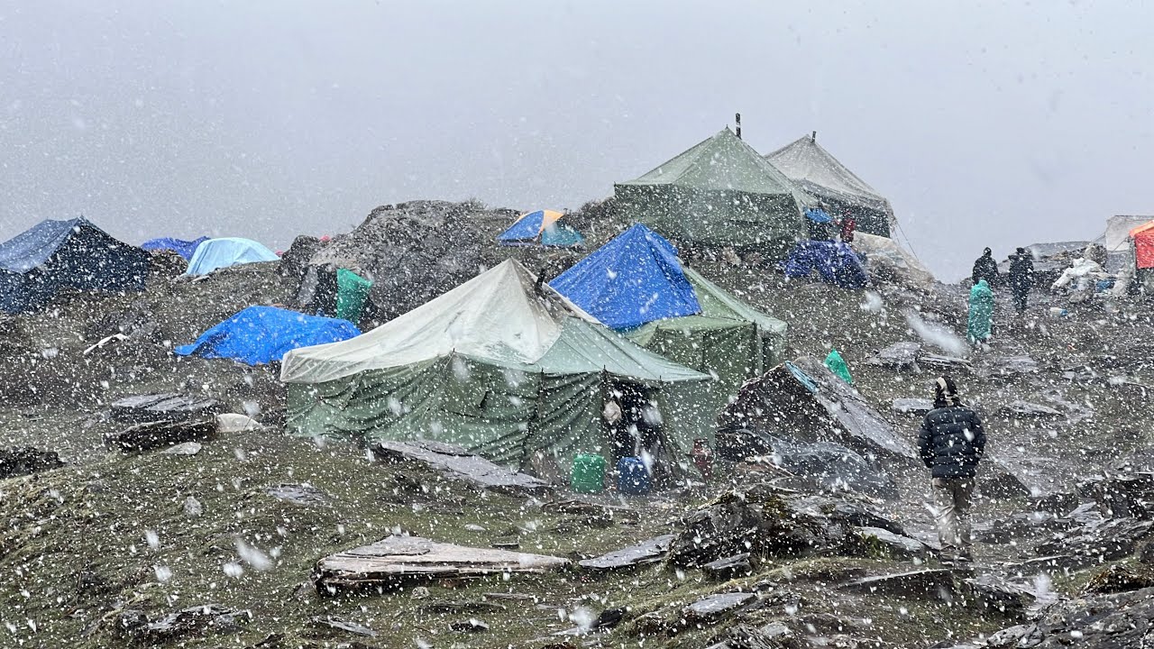 Amazing Himalayan Life Into The Snow ||Himalayan Herbal Hunter Life In ...