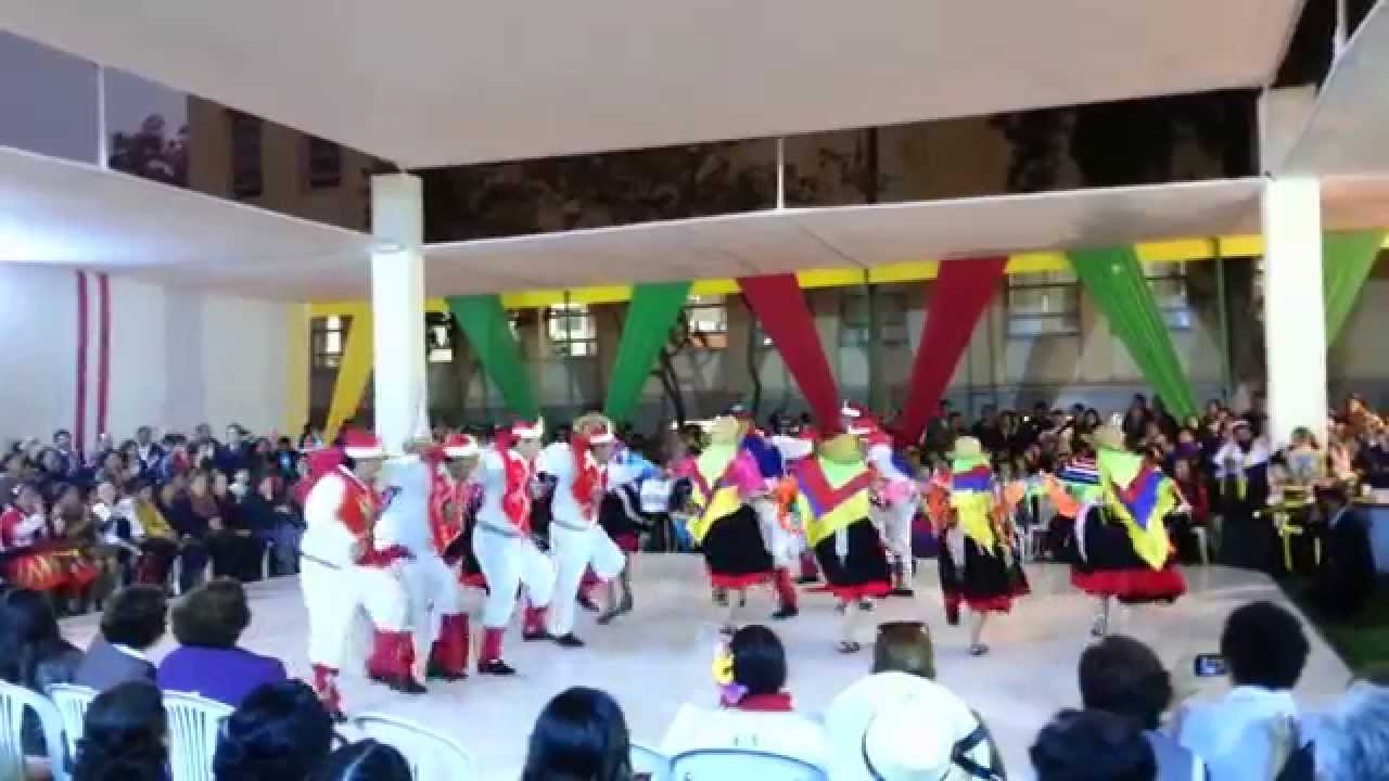 Elenco de DIGESA bailando la danza "El Pacasito" en concurso del MINSA ...