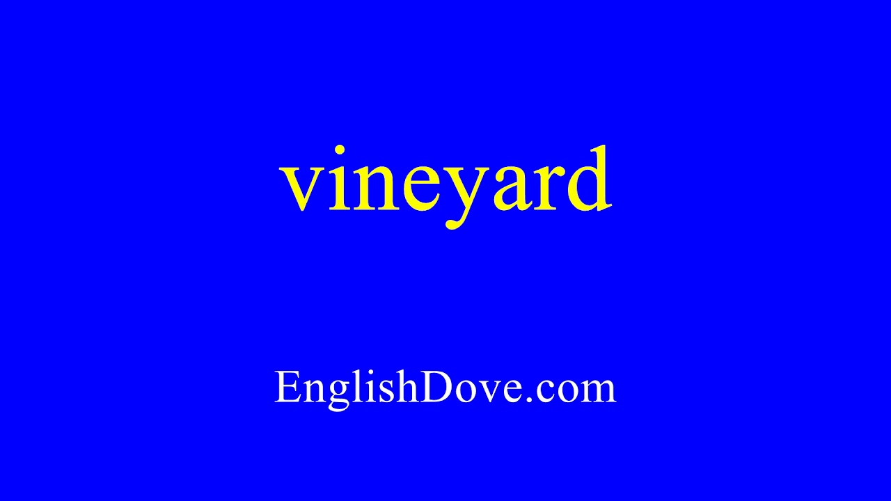 How to pronounce vineyard in American English. - YouTube