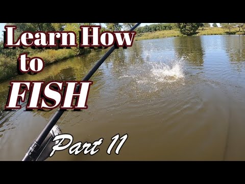 How to FISH Part 11- Hook Setting and Fighting the Fish! - YouTube