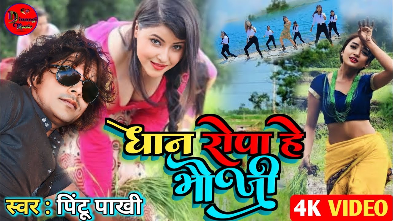 #Video#।।धान रोपा हे भौजी#।Dhan Ropa he Bhauji #। Pintu Pakhi #।Diwangi ...
