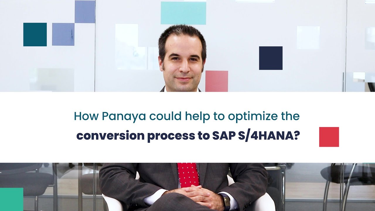 [en] #ExpertWords | Panaya helps to optimise the SAP S/4HANA conversion ...