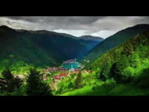 Ceren Su Yalçın / Sevdaluğum