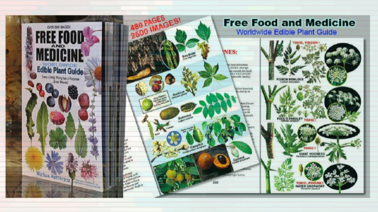 WORLD WIDE EDIBLE PLANT GUIDE | MARKUS ROTHKRANZ - YouTube