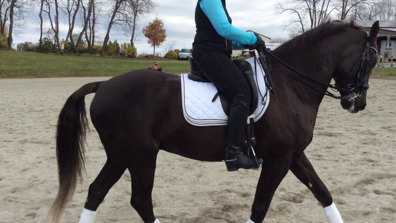 EMR Maximus and Lisa Johnson with Charlotte Lasseter: Half Steps 11/5 ...