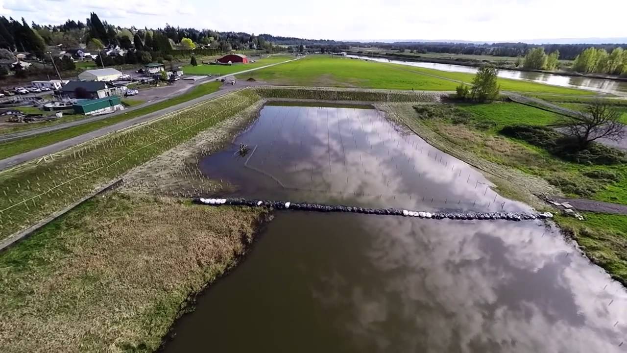 Carty Lake Wetland Restoration - YouTube