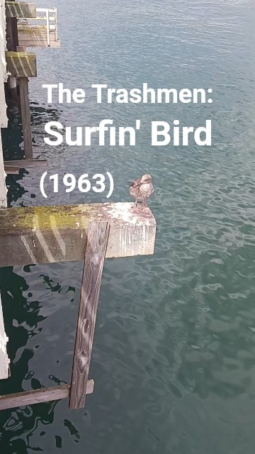 The Trashmen: Surfin' Bird (1963) - YouTube