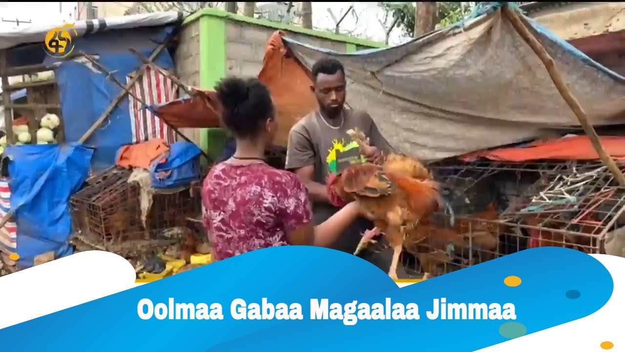 Oolmaa Gabaa Magaalaa Jimmaa - YouTube