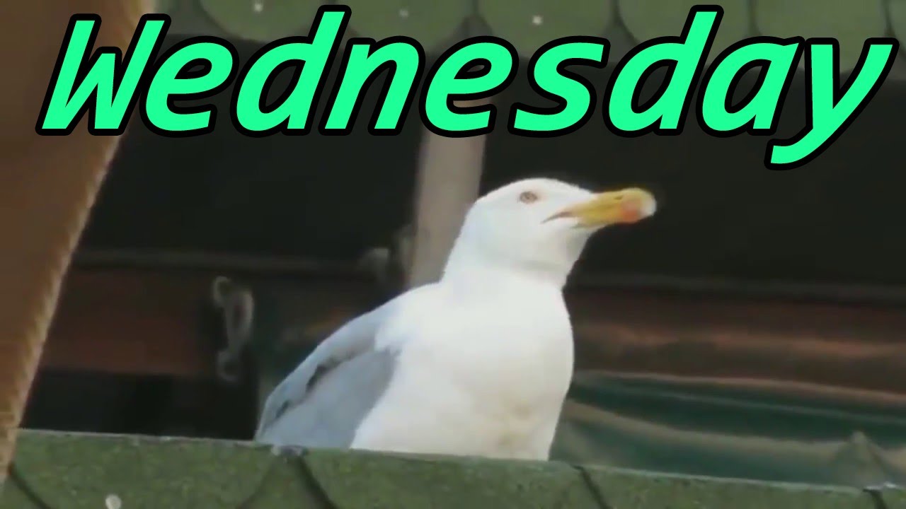 It is Wednesday My Dudes - YouTube