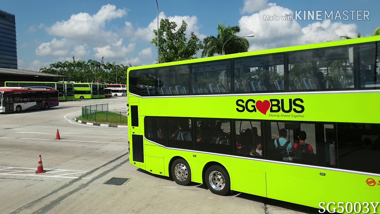 SBST & Smrt Buses Bus Services 966,903,913/913T,925 Part 2 - YouTube