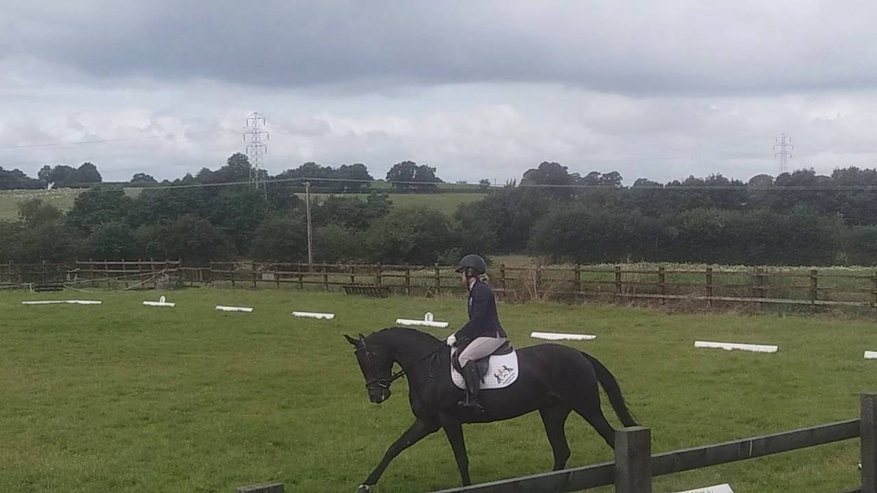 Millie dressage - YouTube