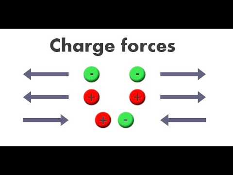 Balloons and Static Electricity | PHET Physics Simulation Demonstration ...