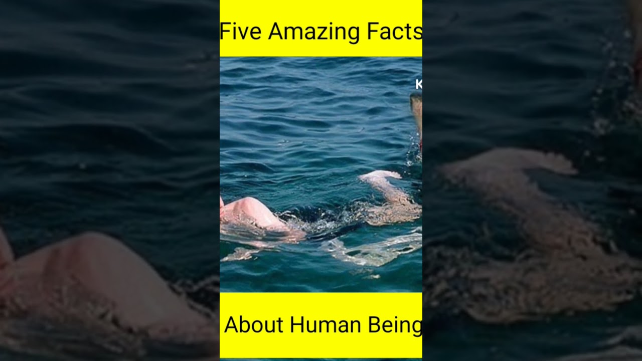 Facts About Human beings. - YouTube