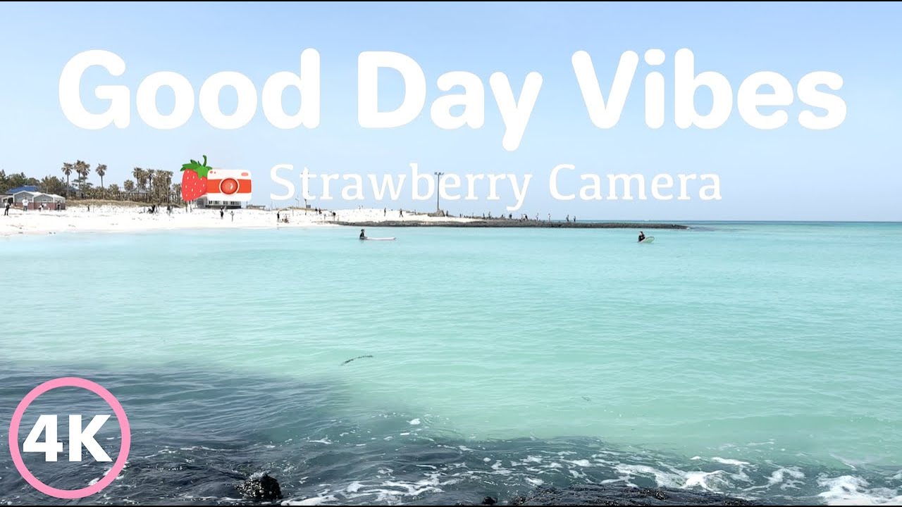 𝐏𝐥𝐚𝐲𝐥𝐢𝐬𝐭 🌷출근길, 기분좋게 만드는 매력적인 목소리에 하루가 근사 해져버림 🍓Strawberry Camera - YouTube