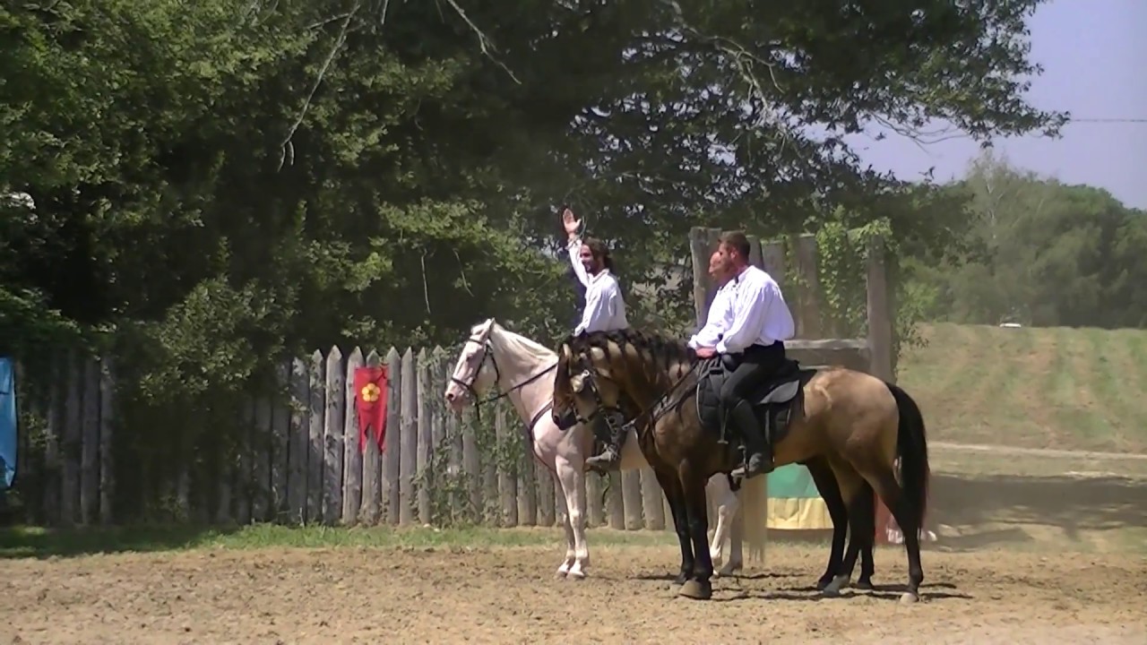 Arion Horse Show - YouTube