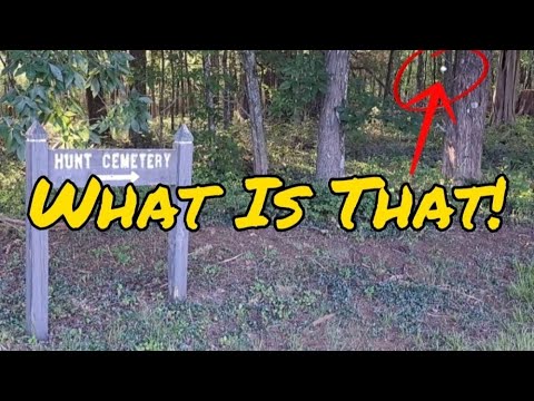 WHAT IS THAT! Bug, Orb? at Hunt Cemetery in Chickamauga Battlefield in Fort Oglethorpe, GA - YouTube