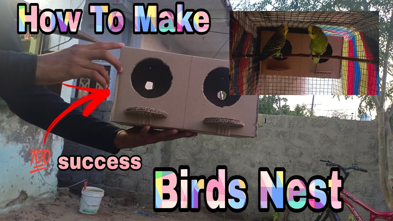 How To Make Birds Nest|With Cardboard| Alen AxP Official - YouTube