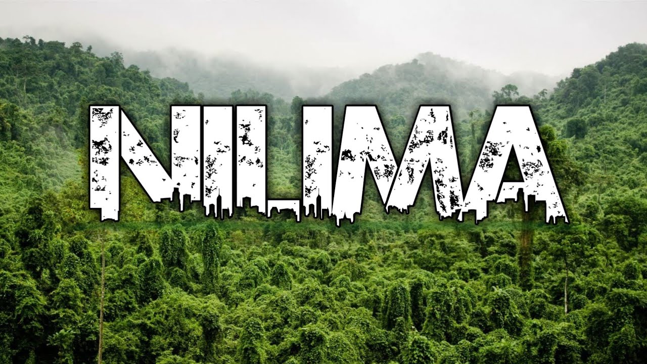 Nilima name text status video||new status video||#reels#trending# ...