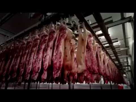 Waspada Permen Gelatin babi - YouTube