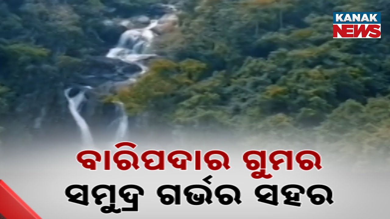 Baripada's Fossil Bed: Unveiling a 12-Million-Year-Old Marine Past ...