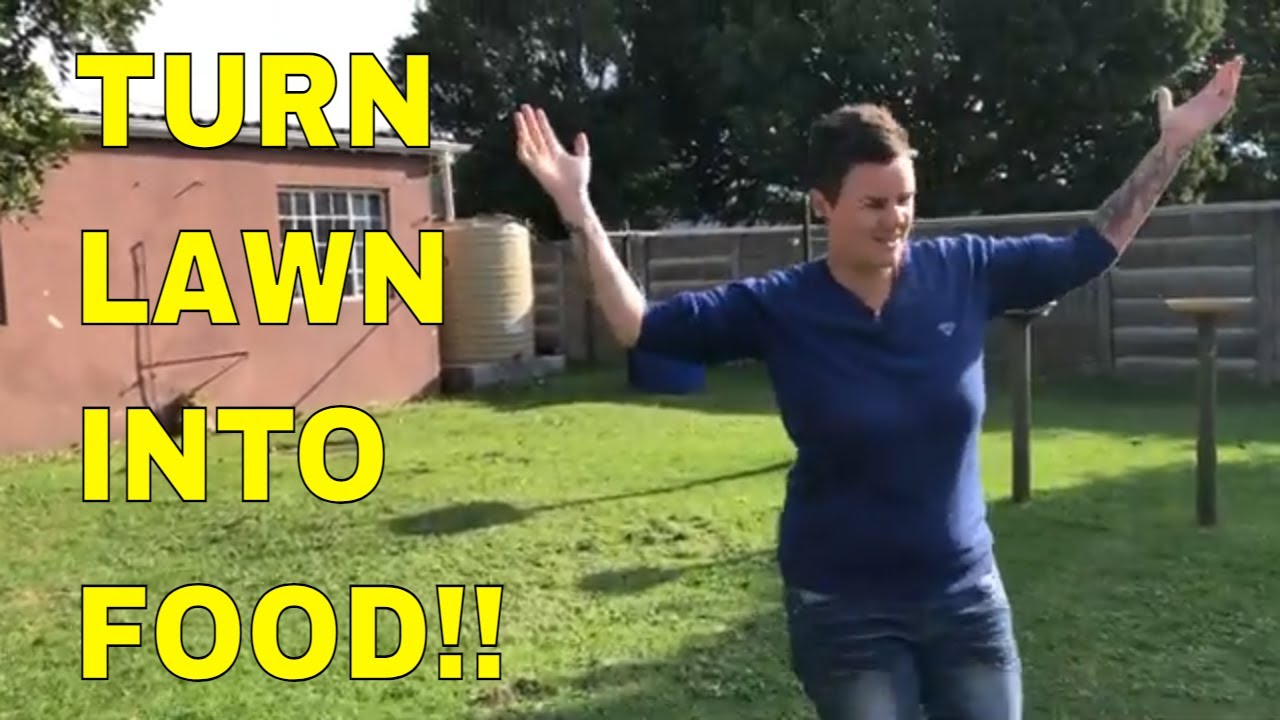 Suburban Lawn to Food Garden Transformation Part 1 - YouTube