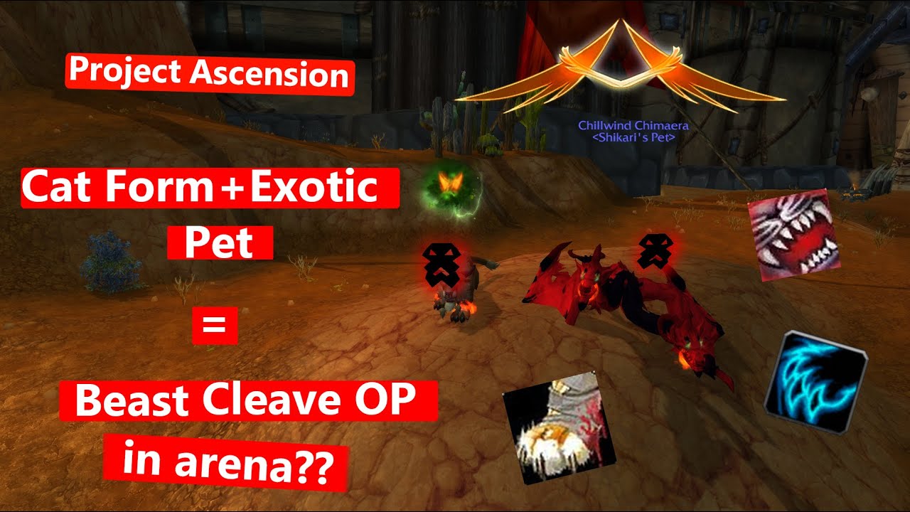 ONE man BEASTCLEAVE? (Exotic Pet/Cat Form Ascension PvP Build) - YouTube