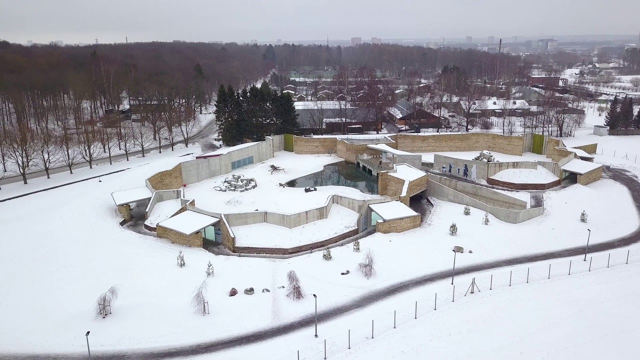 Award winning Polar Bear Habitat in Tallinn Zoo - YouTube
