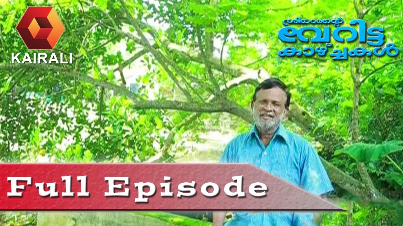Veritta Kazhchakal : Pulikkal Joseph Das | 9th September 2017 | Full ...