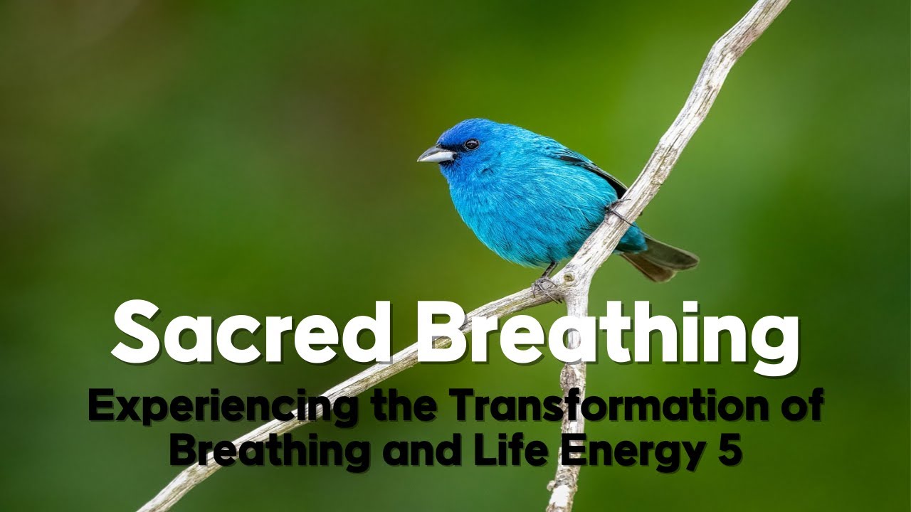Sacred Breathing: Experiencing the Transformation of Breathing and Life ...