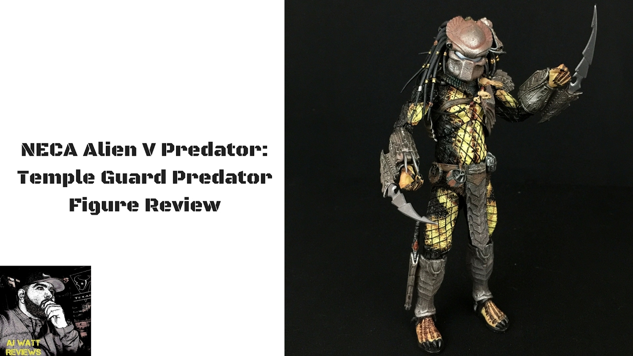 NECA Alien V Predator: Temple Guard Predator Figure Review - YouTube