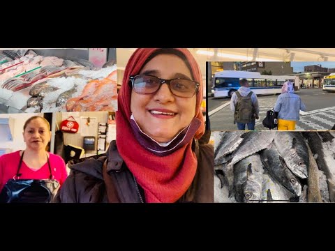 Fresh fish at Rainbow Fish Market and tour of Sutphin Boulevard - YouTube