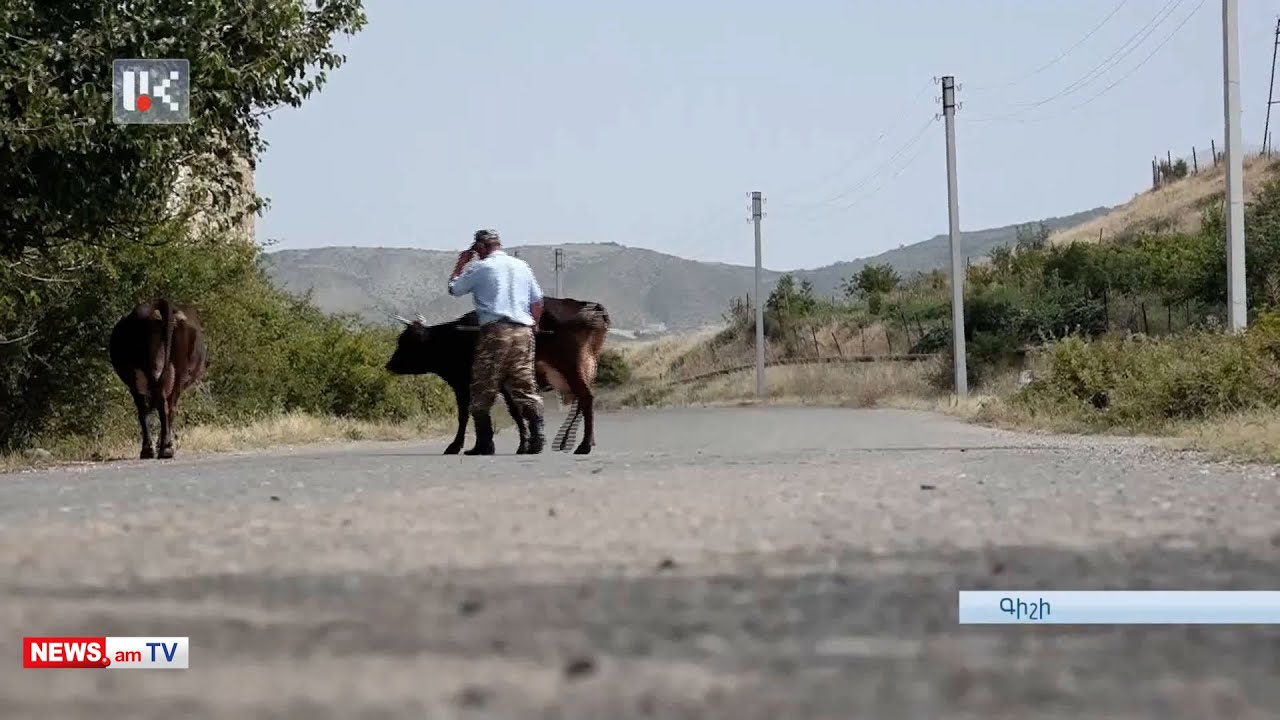 «Խայտառակ վիճակ է վառելիք չկա Արցախի Գիշի գյուղի խանութները դատարկ