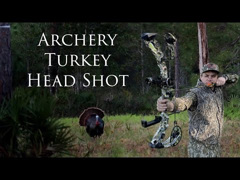 Opening Day Florida Osceola Archery Turkey Hunt {Guillotine Broadhead ...