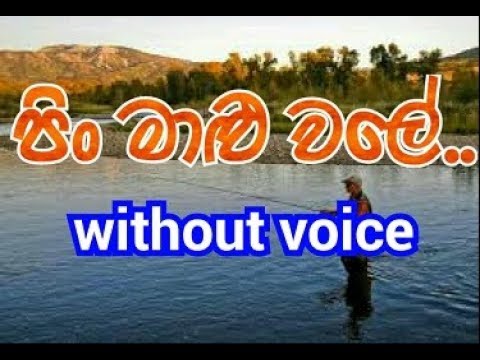 Pin Malu Wale Karaoke (without voice) පින් මාළු වලේ - YouTube