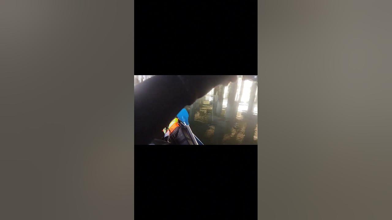 Strike Ikan Jt Tompel Kecil Shots Youtube